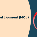 medial cMedial Collateral Ligament (MCL) Injury Treatment | Dr Niraj ...
